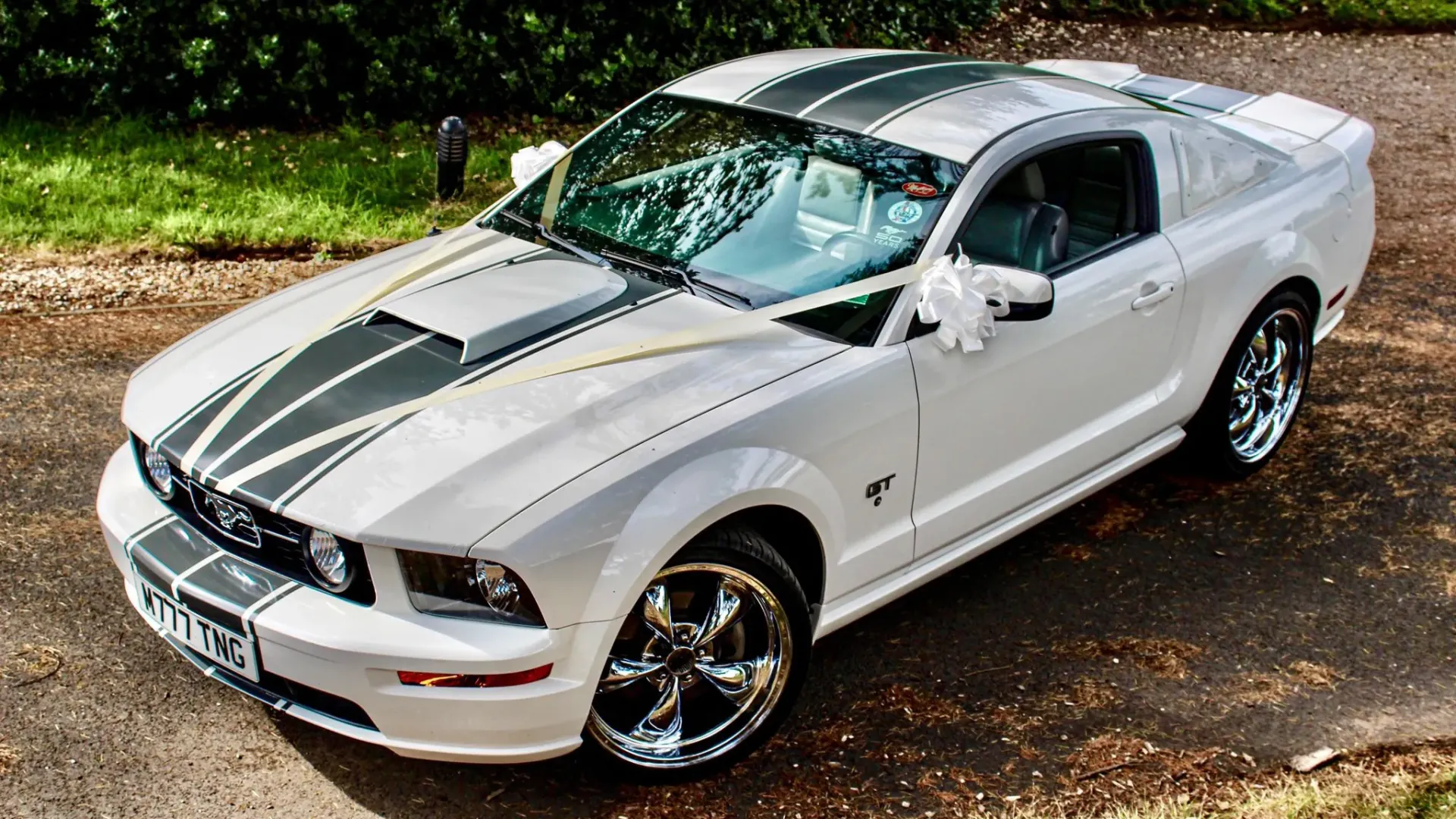 White Modern Ford Mustang GT 4.6L for wedding hire